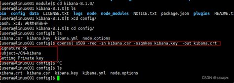 Elasticsearch 02kibana810安装 Csdn博客