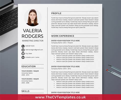 Professional Cv Template For Microsoft Word Curriculum Vitae Modern