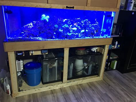 New 75 Gallon Tank And Refugium Setup Reef2reef