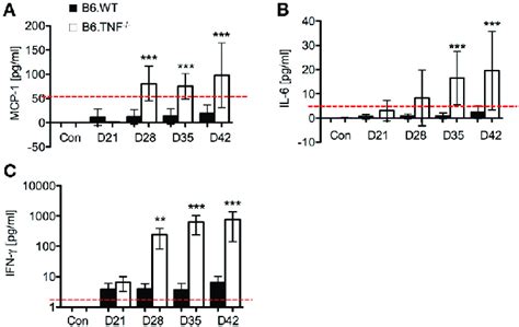 Cytokine Secretion As Measured By Cytokine Bead Array Using Flow Download Scientific Diagram