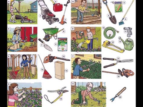 Садовые инструменты картинки для детей