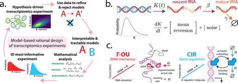 Framework For The Rational Design Of Transcriptomics Experiments A Download Scientific Diagram