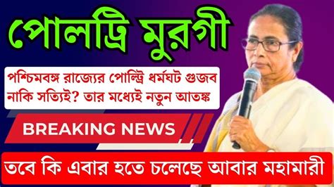 রাজ্যে পোলট্রি বন্ধ হচ্ছে মুখ্যমন্ত্রীর চরম সিদ্ধান্ত West Bengal Poultry Murgi Breaking News