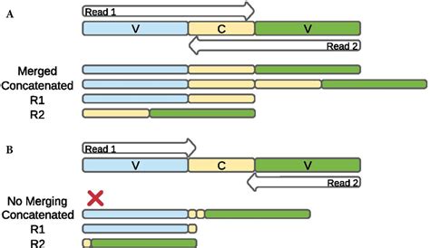 Representation Of Merged And Fully Concatenated Reads In Instances
