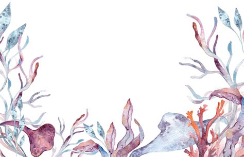 수채화 열대 바다 풍경과 해초 그리고 해양 식물은 분홍색 푸른 톤으로 고립되어 있습니다 가오리 해변 청첩장 해안 디자인을위한 가오리 물고기와 함께 손으로 그린 수중 테두리