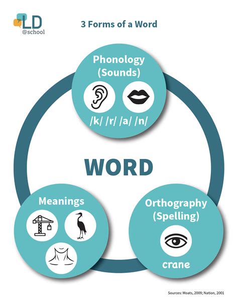 An Introduction To Orthographic Mapping LD Babe