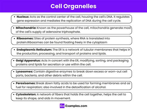 Cell Discovery Of Cells Characteristics Types Difference