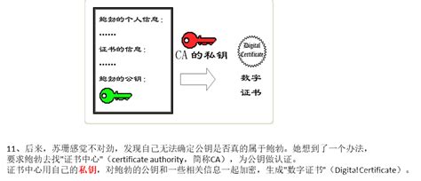 加密解密、加签验签、数字证书流程分析 csdn博客