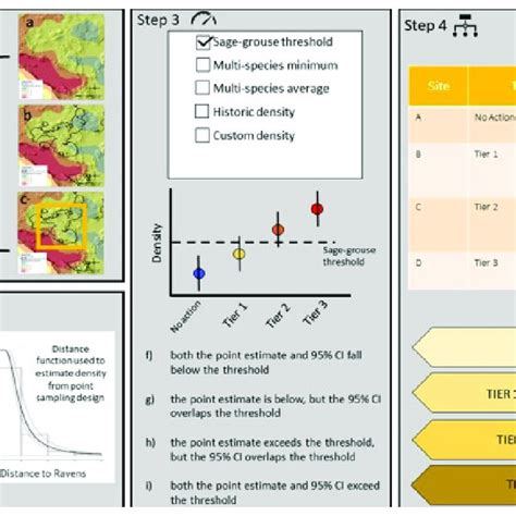 Diagram Of The Adaptive Management Framework For Common Raven Corvus Download Scientific