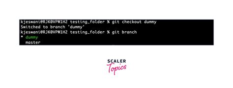 Difference Between Checking Out Revering Resetting Scaler Topics
