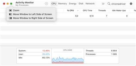 Fix Memory Leaked Webdriver On Parallel Run Of Nselene Tests In Latest