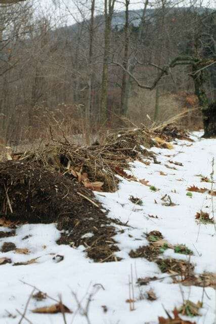 Composting 101 A Way To Garden