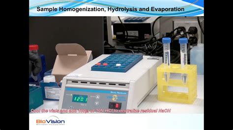 Biovision Glycogen Assay Kit At Jeanne Potter Blog