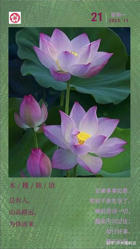 表达关心，韩语口语就用这20句 知乎