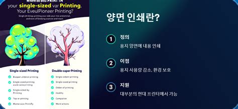 프린터 양면 인쇄 설정 방법 자동과 수동 차이점 완벽 정리