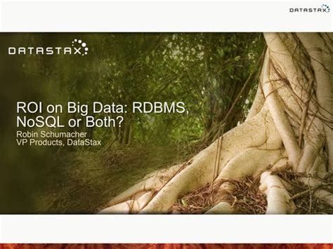 Webinar Roi On Big Data Rdbms Nosql Or Both A Simple Guide For