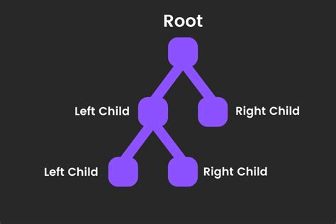 Tree Traversals Preorder Inorder Postorder Matrixread