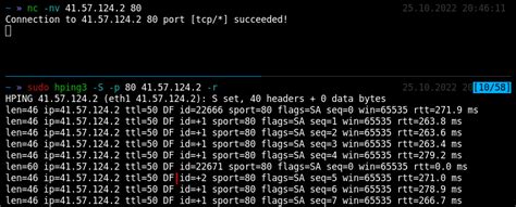 Kung Fu Enumeration Data Collection In Attacked Systems Hackmag