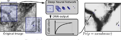 Figure 2 From Deep Neural Networks Segment Neuronal Membranes In