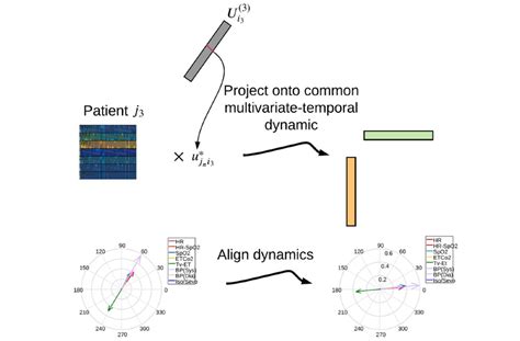 Rotation Of Physiological Responses Before Projection To Align With The