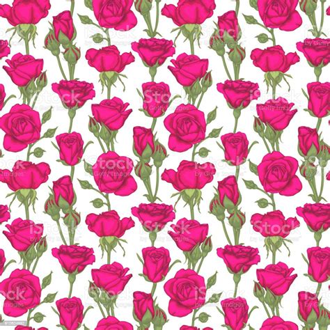 아름 다운 빈티지 원활한 패턴 장미 Rosebuds 잎과 줄기 인사말 카드 및 초대장 결혼식 생일 발렌타인의 날 어머니의 데와 다른 휴일의 디자인 고풍스런에 대한 스톡 벡터