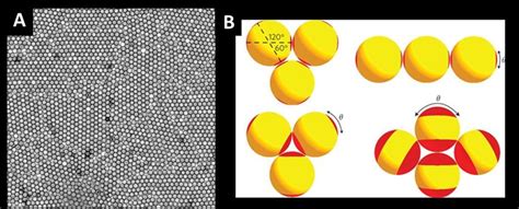 9 A Self Assembly Of Colloidal Nanospheres And B Different