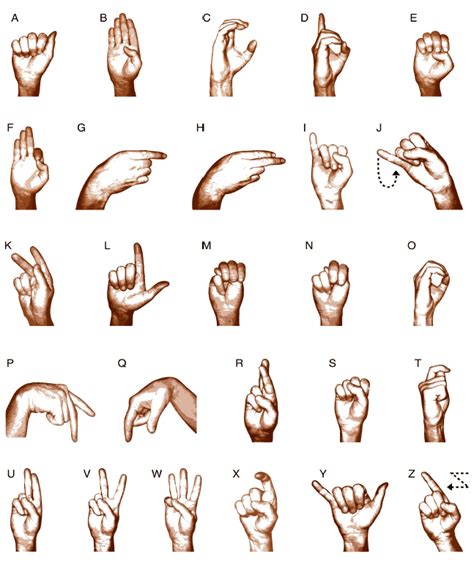 South African Sign Language Wikipedia The Free Encyclopedia Sign Language Alphabet Sign