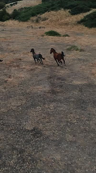 Video Vanessa Comley On Linkedin The Teaser To Our Story ️ Thank You Karim Boktor And Neil