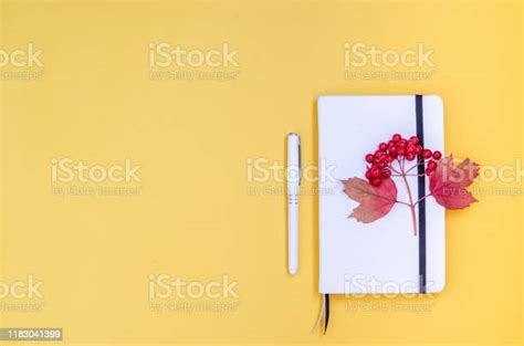 흰색 노트북에 빨간 단풍이 있는 잘 익은 빨간 Viburnum 열매 노란색 배경에 복사 공간을 위한 공간이 있는 흰색 펜 근처