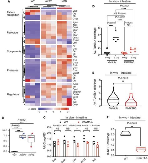 Jci Improving Radiotherapy In Immunosuppressive Microenvironments By