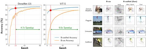 B Cosification Transforming Deep Neural Networks To Be Inherently
