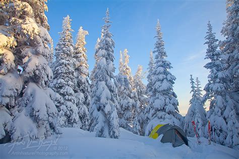 Winter Camping Hurricane Ridge Wa Art In Nature Photography