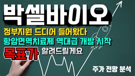 박셀바이오 주가 전망 정부지원 드디어 들어왔다 항암면역치료제 역대급 개발 시작됐다 최고 인재 영입 호재까지 목표가 솔직하게 공개하겠습니다 Youtube