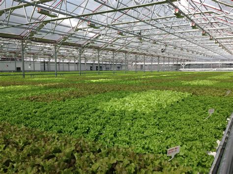 References Green Automation