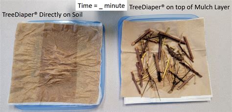 TreeDiaper Zynnovation LLC TreeDiaper Zynnovation LLC