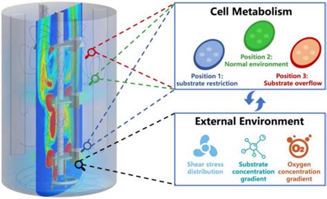 Bioengineering Special Issue Design Optimization And Scale Up Of Industrial Bioprocess