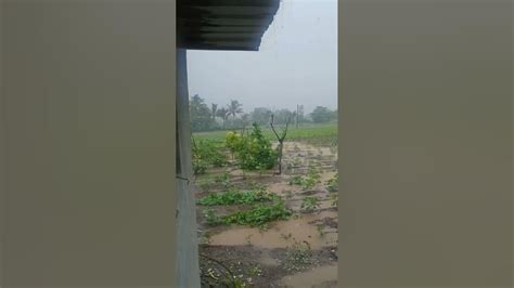 ગુજરાતમાં ભારે વરસાદ ખાબક્યો ૨૦ ૭ ૨૦૨૩ ગુરૂવાર ગુજરાતીસમાચાર Gujaratinews વરસાદની આગાહી