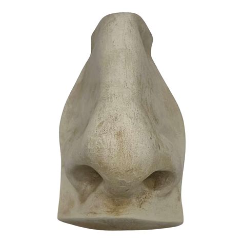 Plaster Cast Of Davids Nose Sculpture Wall Art Chairish