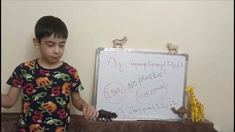 Կենդանիների մասին Youtube