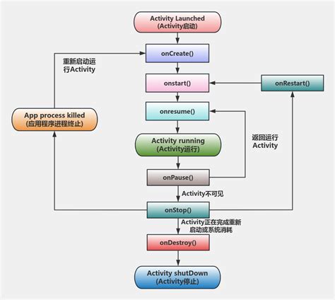 activity生命周期 流程图模板 processon思维导图、流程图