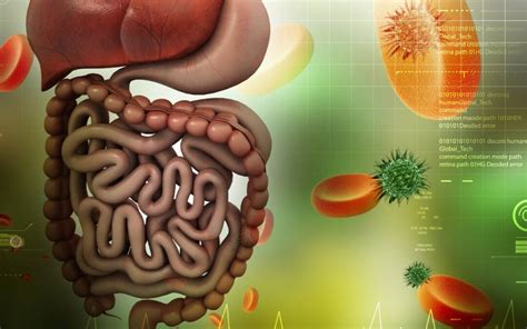 Alternative Colonoscopy Preparation Colonic Training