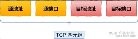 重新认识 Tcp 三次握⼿和四次挥⼿ 知乎