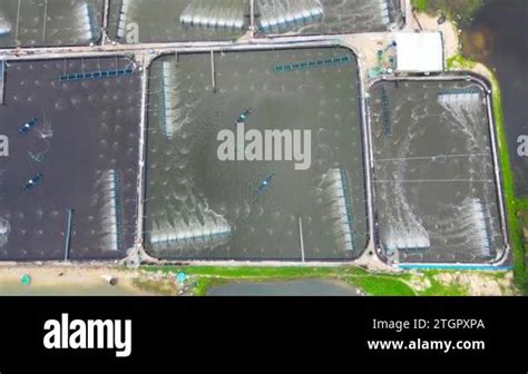 Shrimp Aquaculture Pollution Stock Videos And Footage Hd And 4k Video