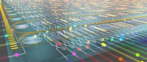 Quantum Computing Support For Ut Spin Off Quix