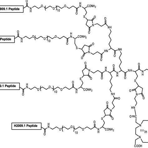 Structure Of The Dota Labeled Tetrameric Peptide Download Scientific Diagram