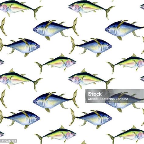 다양한 야생 바다 물고기 원활한 패턴 수채화 그림이 흰색으로 격리되어 있습니다 고기에 대한 스톡 벡터 아트 및 기타 이미지 고기 고등어류 그래픽 프린트 Istock