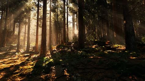 Create A 3d Game Environment In Unreal Engine Game Environment 3d Game