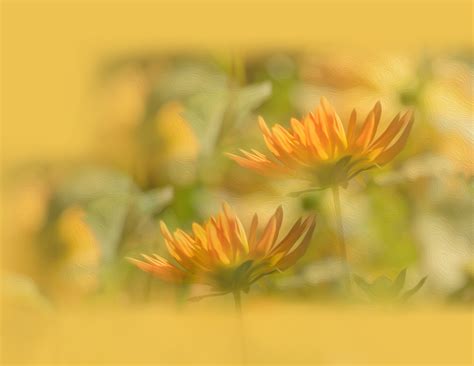 Spielerei Weil Es So Viel Spaß Macht Foto And Bild Pflanzen Pilze