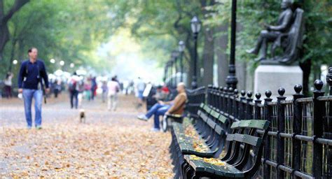 ¿qué Es El Análisis Social