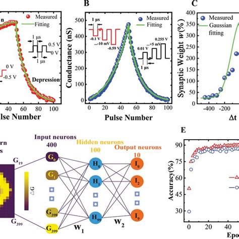 Long‐term Heterosynaptic Plasticity And Ann Pattern Recognition Download Scientific Diagram